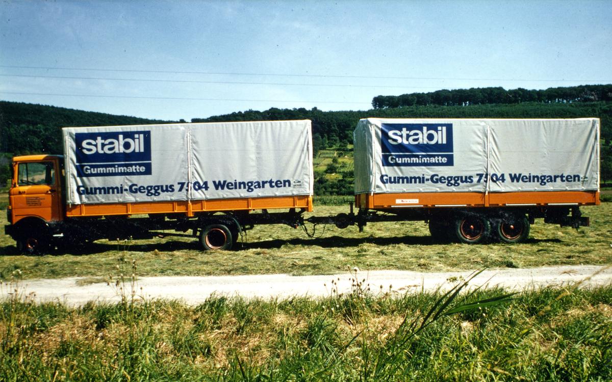 Company history - GEGGUS